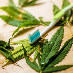 Homemade Canna-Mint Toothpaste - The Social Weed